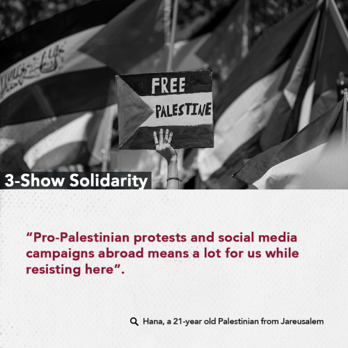 Resistance Strategies to Support Your Cause | Al Sharq Youth